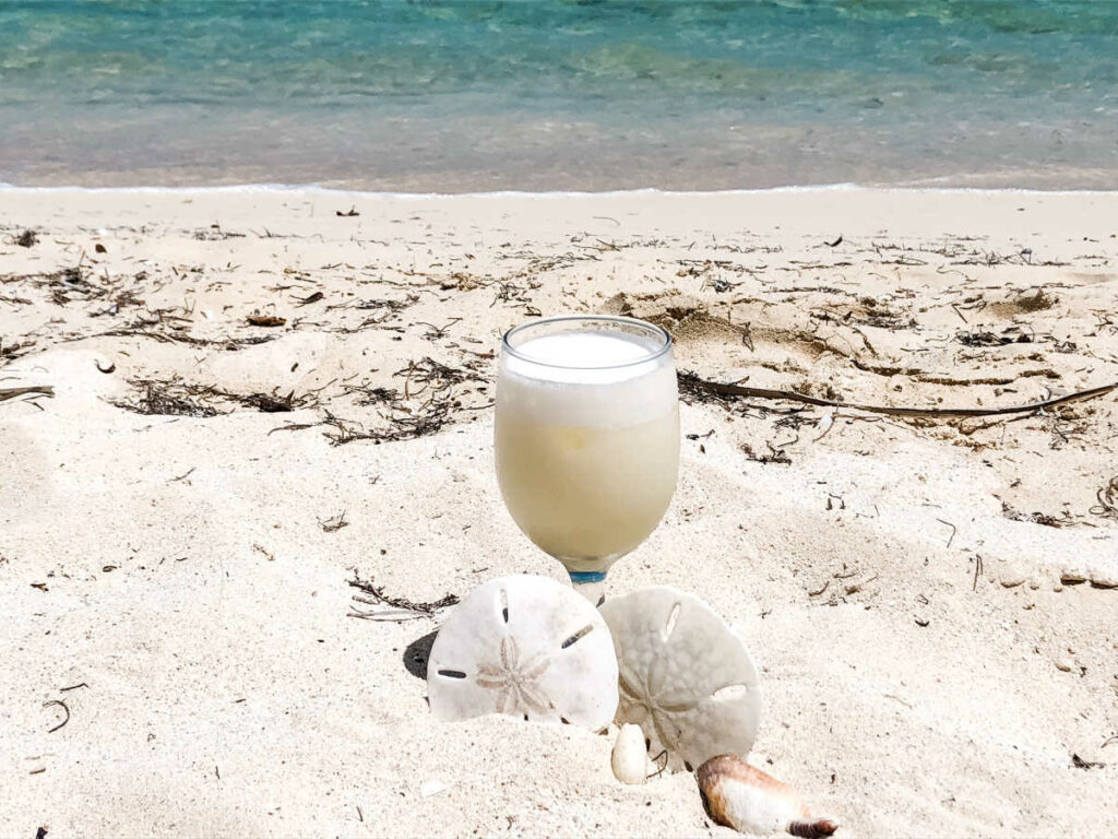 Homemade Pina Colada (that tastes amazing)